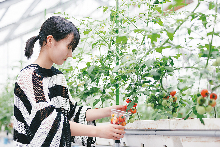 SYMBIOSIS FARM by YANMAR 親子で楽しめる体験型の観光農園 - ここ滋賀 -COCOSHIGA-